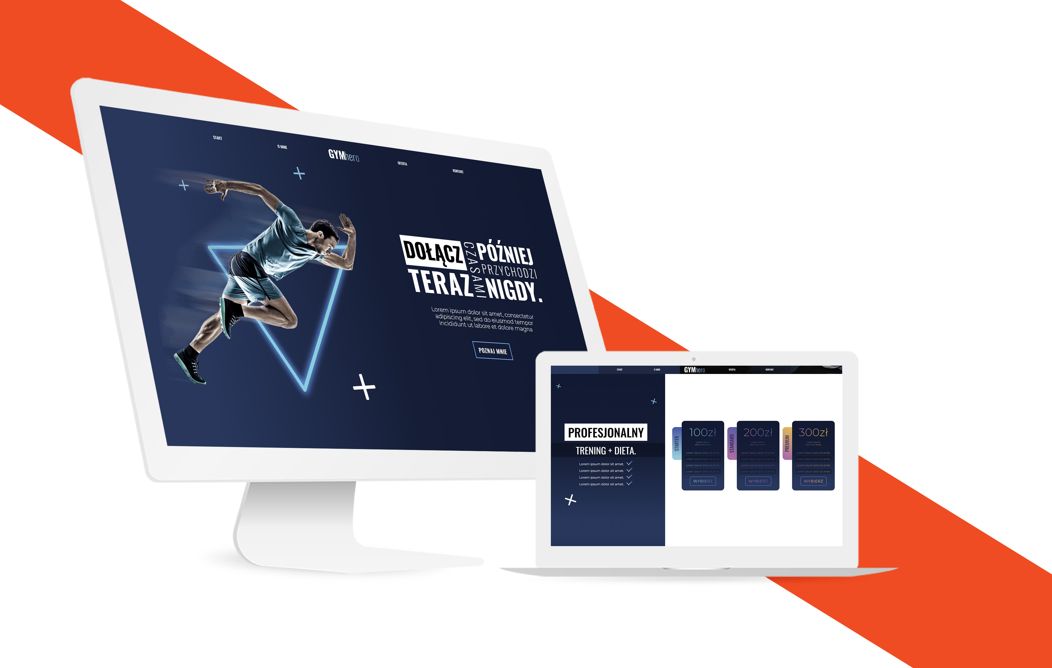 Piotr Stachowicz, portfolio.